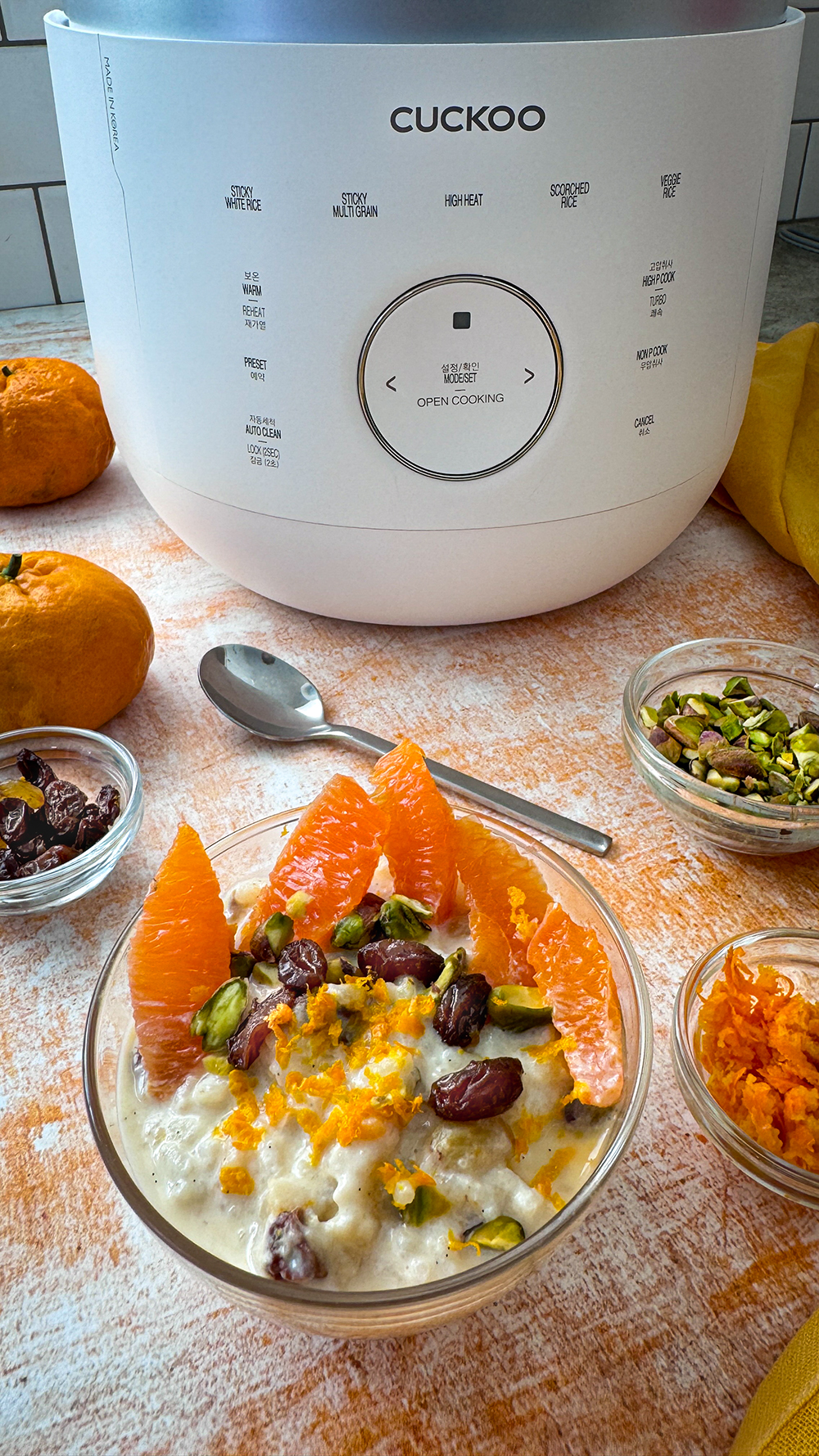 Rice Cooker Rum Raisin Rice Pudding - Yu Can Cook